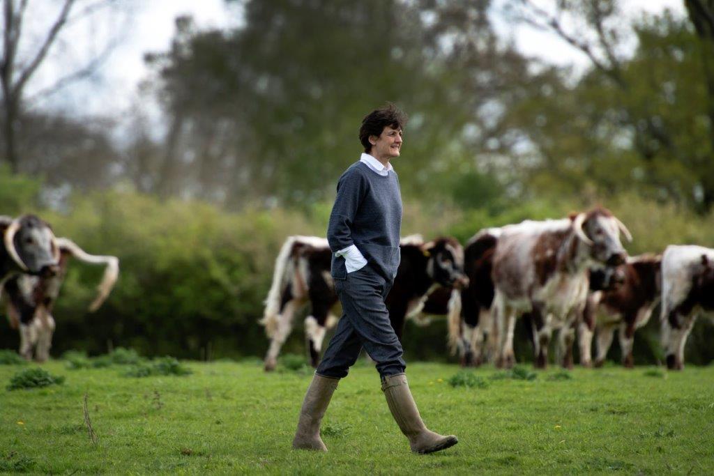 The Book of Wilding—a Practical Guide to Rewilding Big and Small with Isabella Tree – The ...